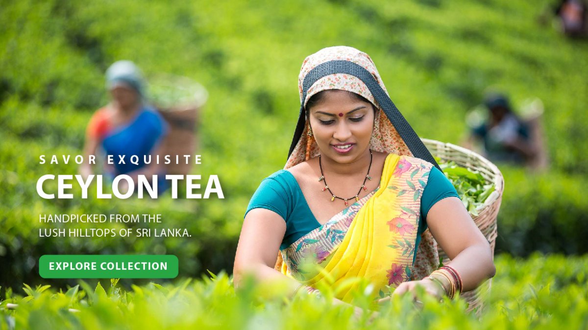 TEA TOP - Premium Quality Pure Ceylon Tea
